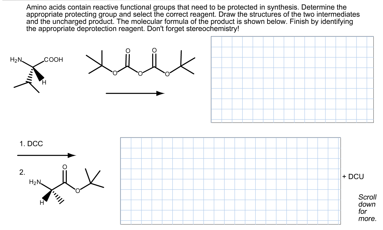 Solved Amino acids contain reactive functional groups that | Chegg.com