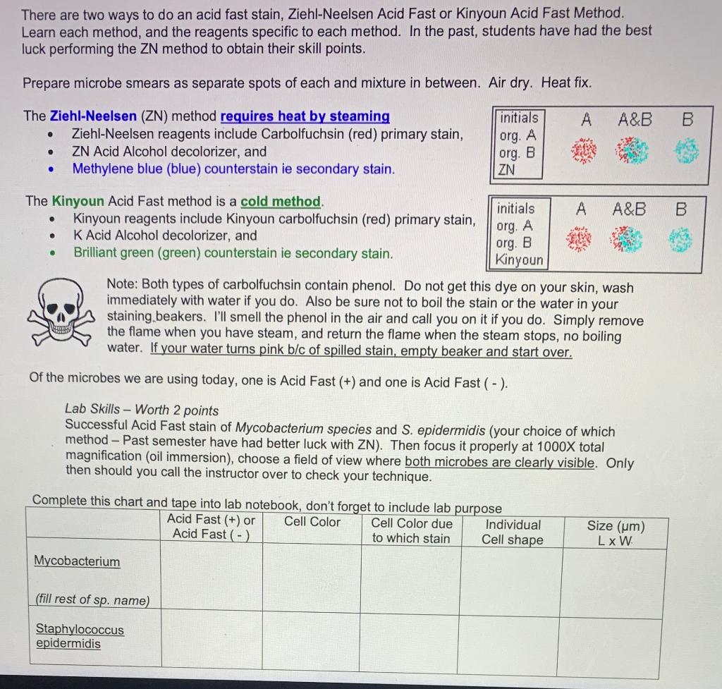 Solved There are two ways to do an acid fast stain, | Chegg.com