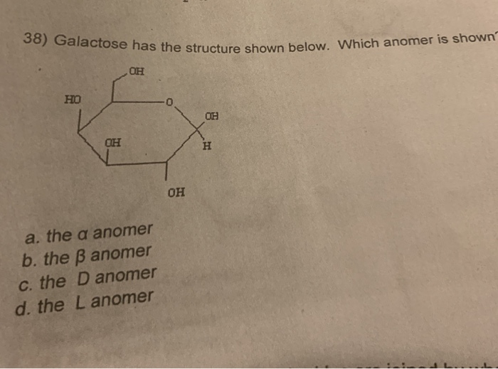 Solved as the structure shown below. Which anomer is shown | Chegg.com