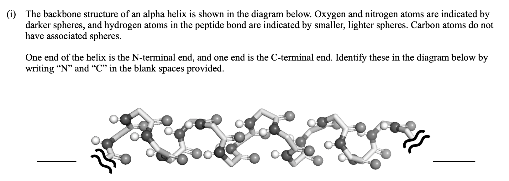 Solved (i) The backbone structure of an alpha helix is shown | Chegg.com