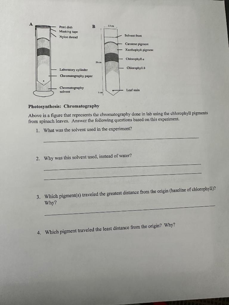 Solved Above is a figure that represents the chromatography | Chegg.com