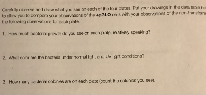 Solved Carefully observe and draw what you see on each of | Chegg.com