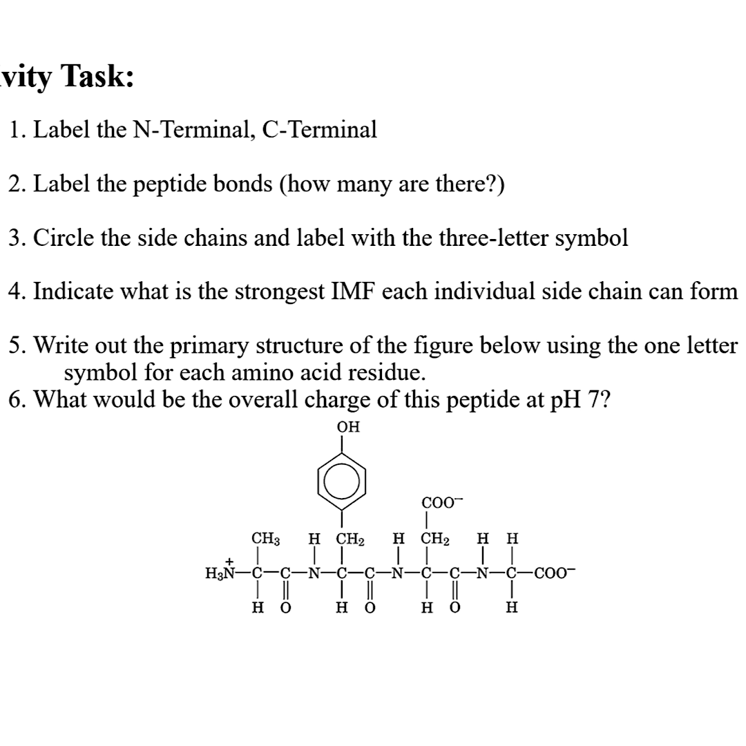 Solved 1. Label the N-Terminal, C-Terminal 2. Label the | Chegg.com
