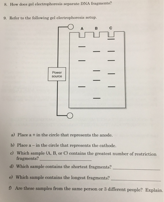 Solved 1 How Does Coding Dna Differ From Non Coding 9188