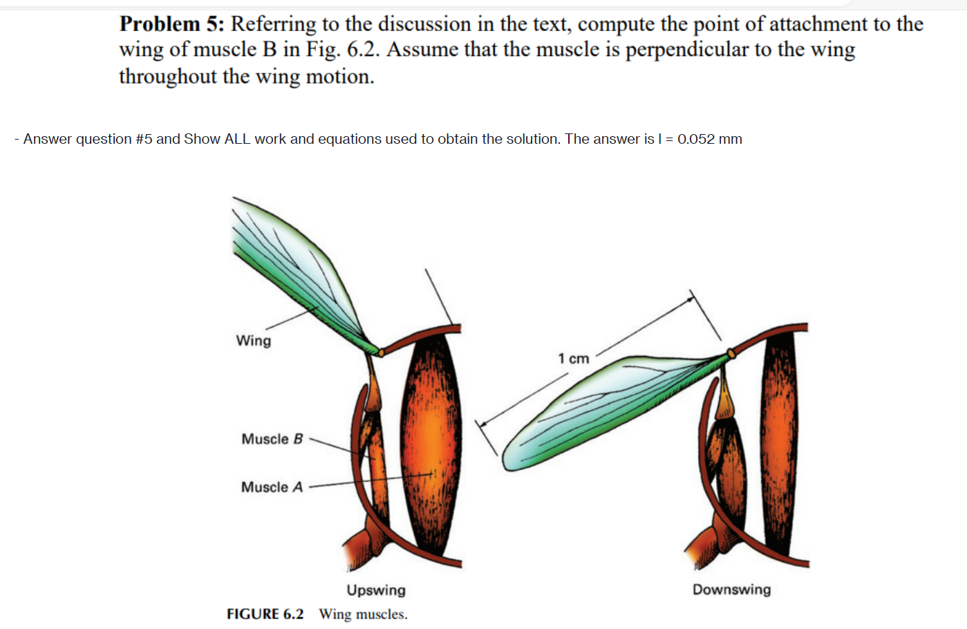 Solved Problem 5: Referring to the discussion in the text, | Chegg.com