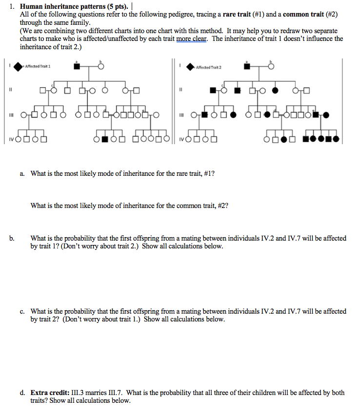 Solved 1. Human inheritance patterns (5 pts). All of the | Chegg.com