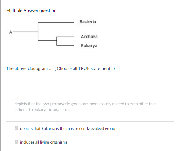 Solved Multiple Answer question Bacteria A Archaea Eukarya | Chegg.com