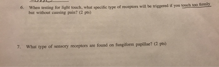 Solved When testing for light touch, what specific type of | Chegg.com
