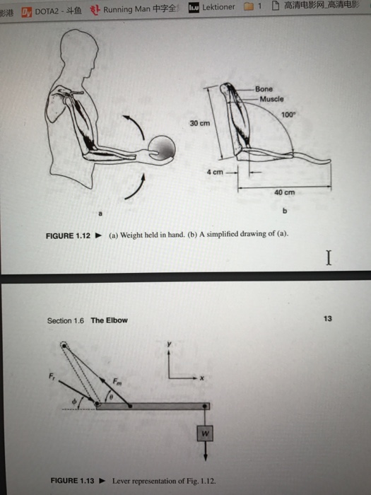 Solved i 4. Using the data provide the arm can support in | Chegg.com