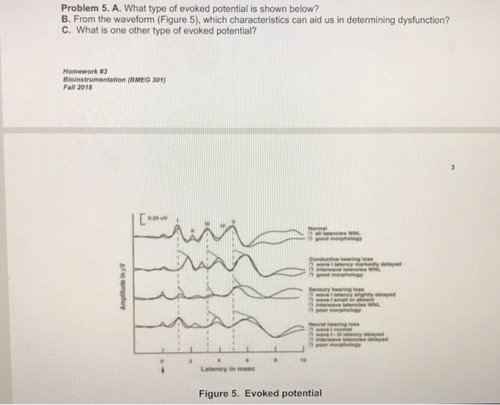 Solved Problem 5. A. What type of evoked potential is shown | Chegg.com
