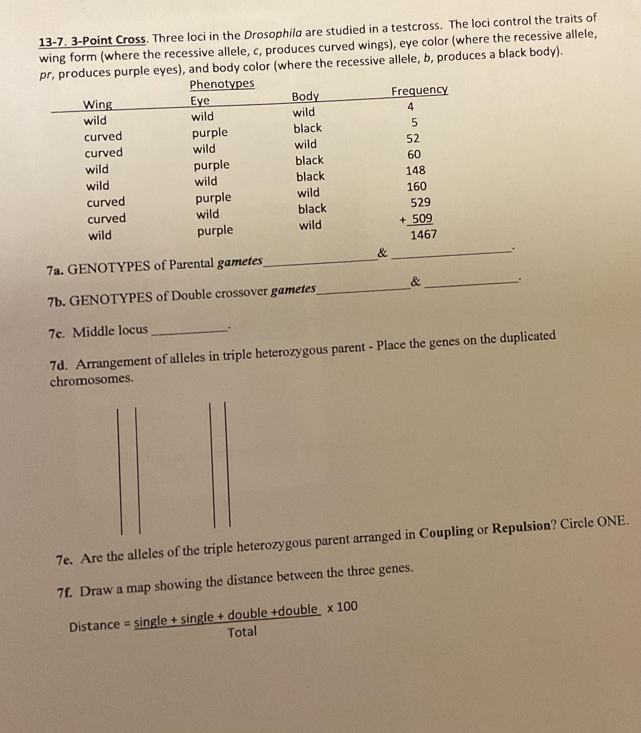 Solved 13-7. 3-Point Cross. Three loci in the Drosophila are | Chegg.com