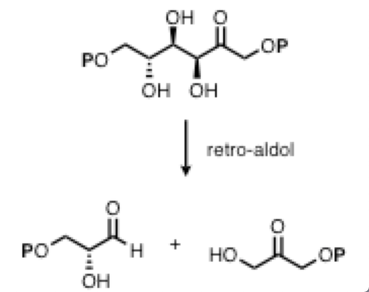 Solved A retro-aldol fragmentation is an aldol condensation | Chegg.com