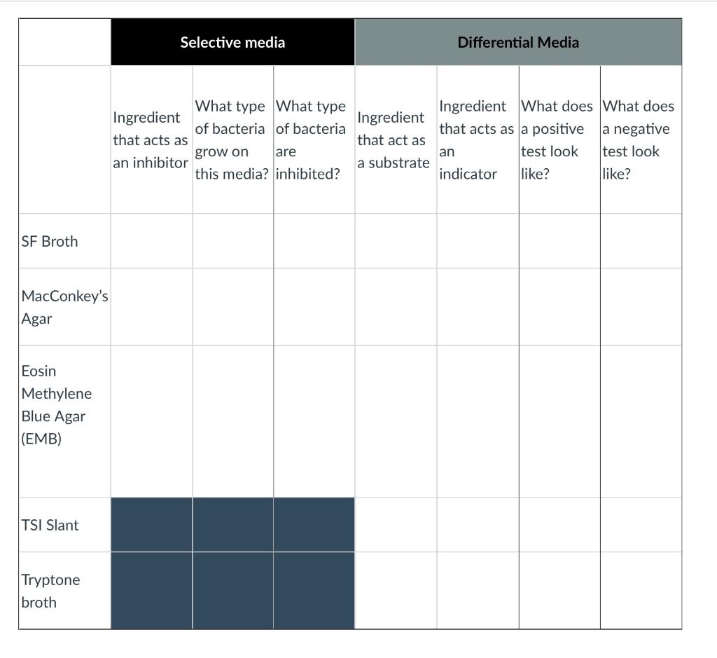 Solved Selective media Differential Media What type What | Chegg.com