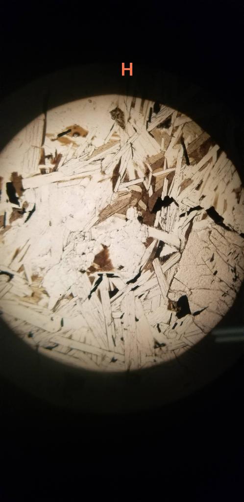 Solved Sample H(amphibolite-facies metamorphic rock of | Chegg.com
