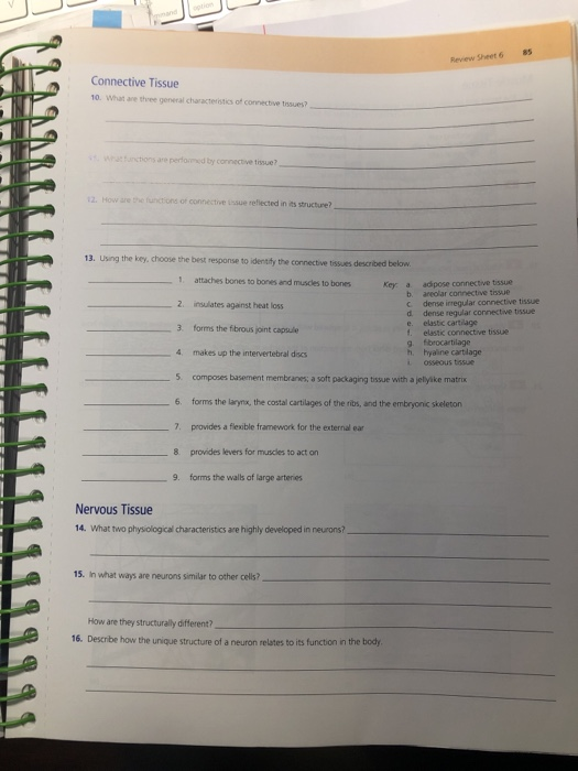 Solved Instructors may assign a portion of the Review Sheet | Chegg.com