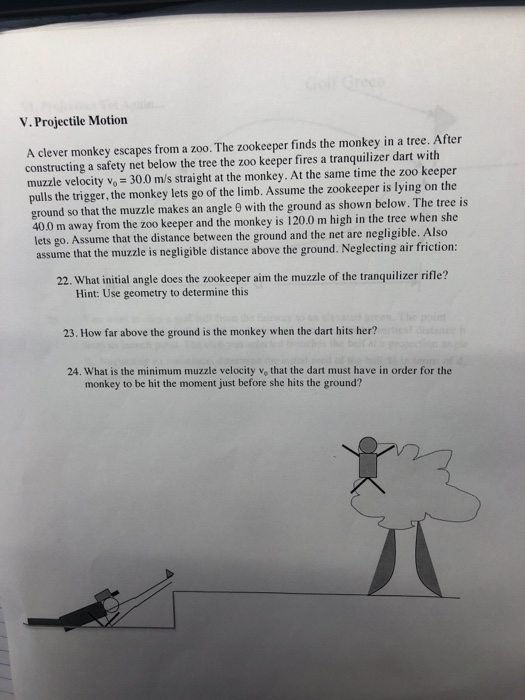 Solved V. Projectile Motion A clever monkey escapes from a | Chegg.com