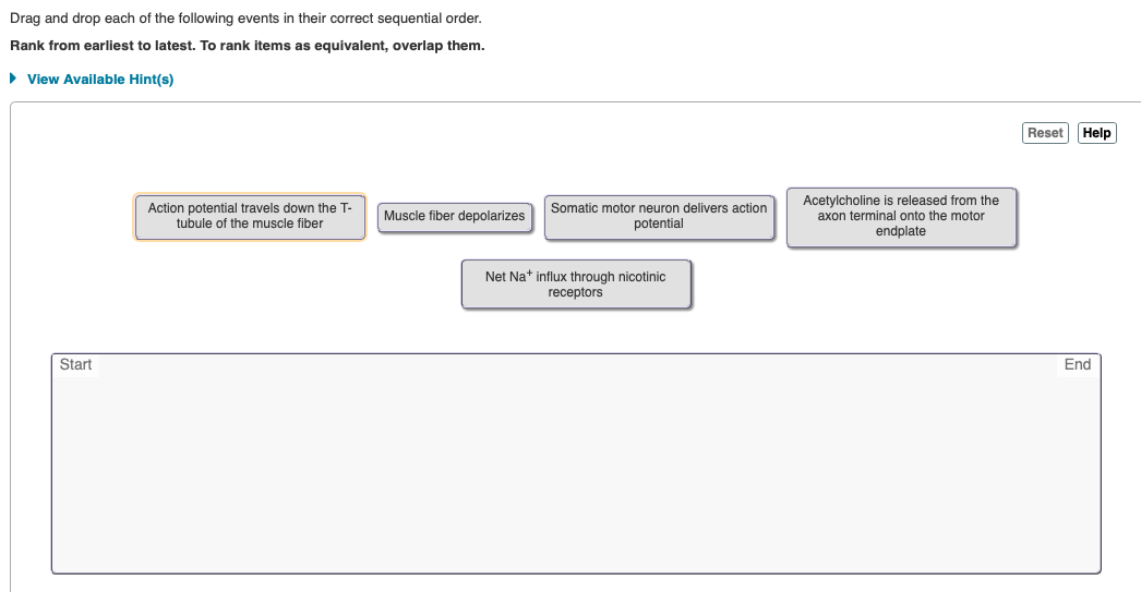 Solved Drag and drop each of the following events in their | Chegg.com