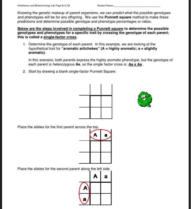 Solved Inheritance and Biotechnology Lab Page 1 of 12 | Chegg.com Solved Inheritance and Biotechnology Lab Page 1 of 12 | Chegg.com