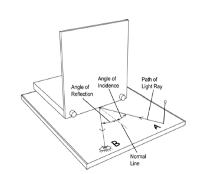 Solved Describe the image of needle "A". What is its | Chegg.com