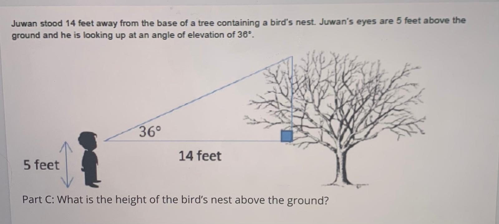 Solved Juwan stood 14 feet away from the base of a tree | Chegg.com