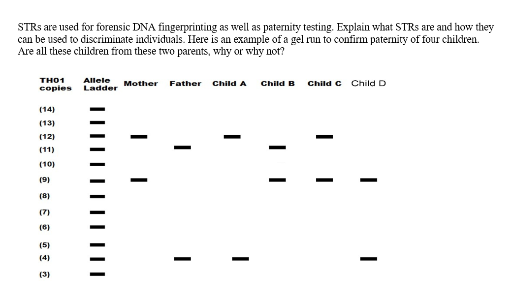 Solved Strs Are Used For Forensic Dna Fingerprinting As Well 