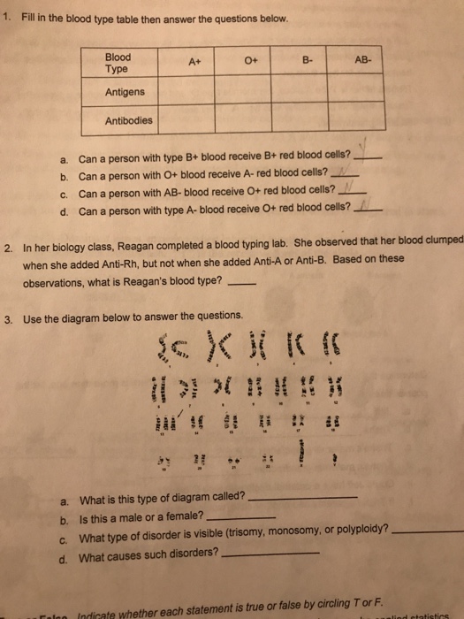 Solved 1. Fill in the blood type table then answer the | Chegg.com