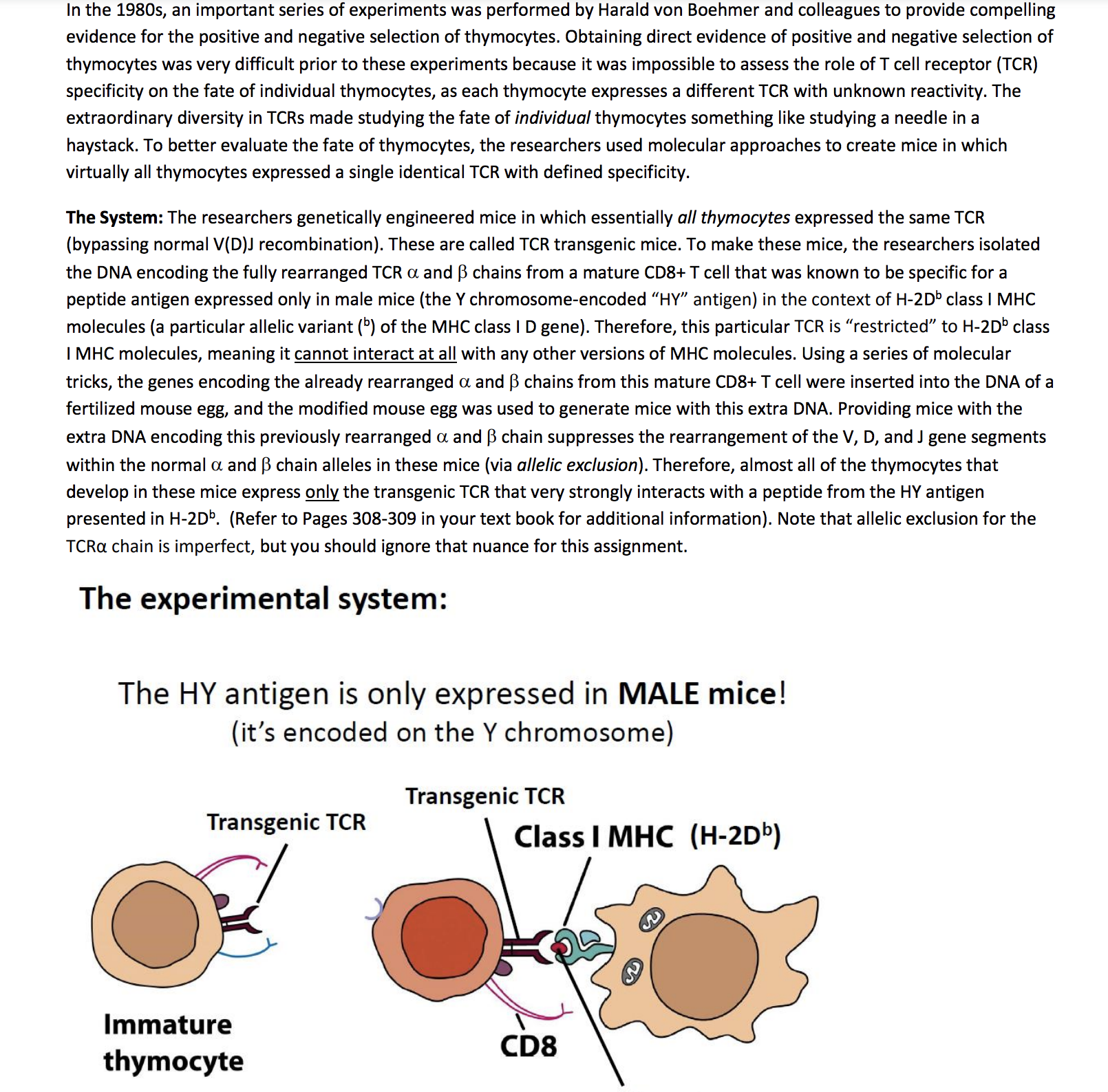 Solved Female TCR-transgenic mice expressing H-2Db MHC | Chegg.com