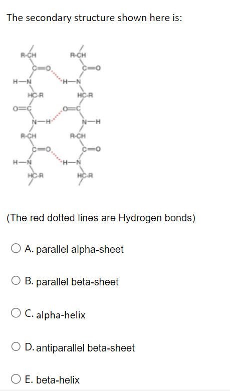 Solved The secondary structure shown here is: (The red | Chegg.com