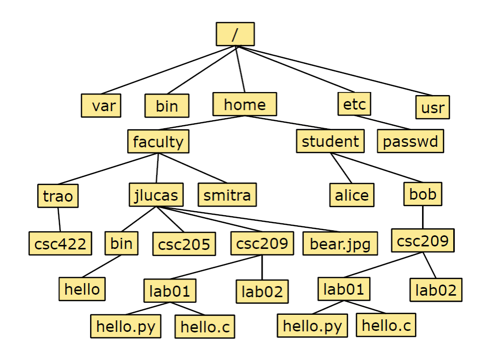 Solved Using Unix/Linux and the picture below 12.Enter on | Chegg.com