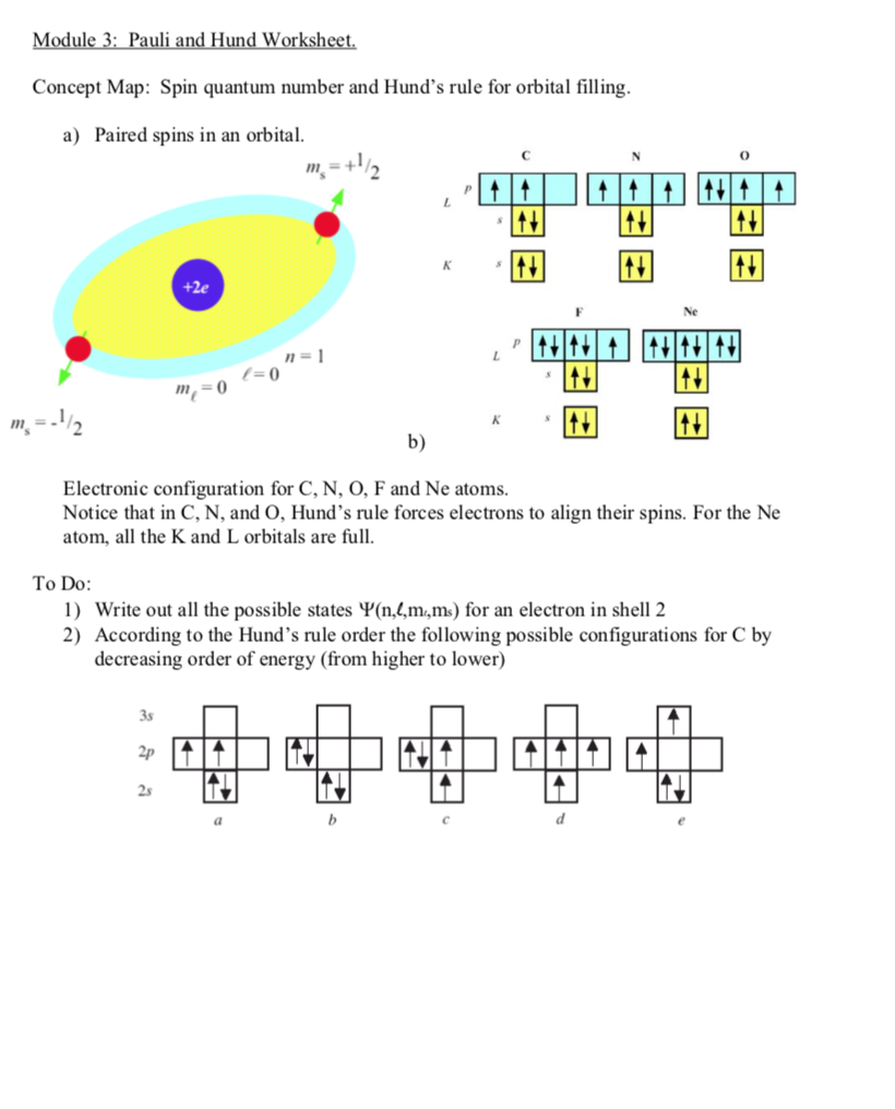 Solved Module 3:_Pauli and Hund Worksheet Concept Map: Spin | Chegg.com