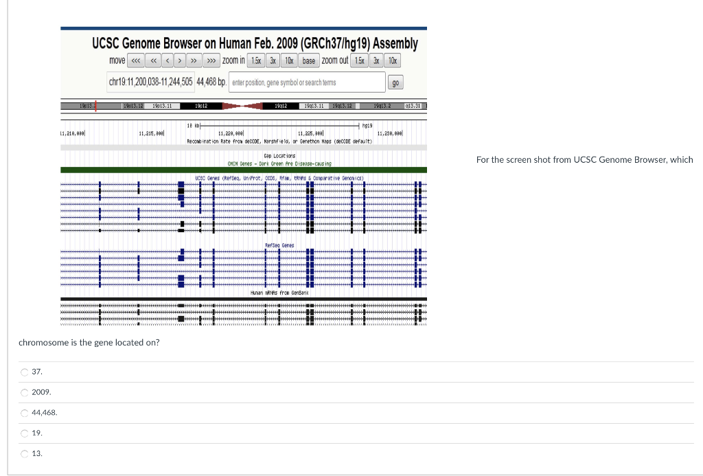 Solved UCSC Genome Browser on Human Feb. 2009 (GRCh37/hg19) | Chegg.com