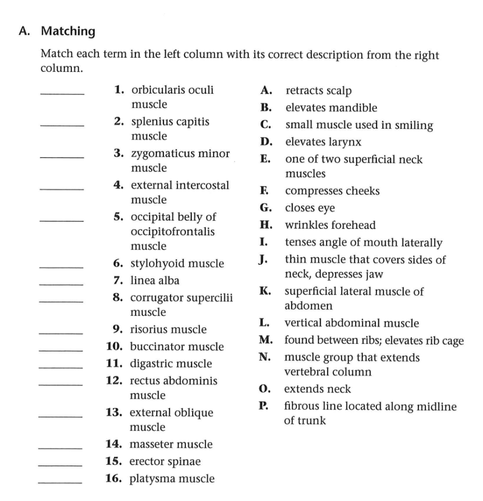 Solved Match each term in the left column with its correct | Chegg.com