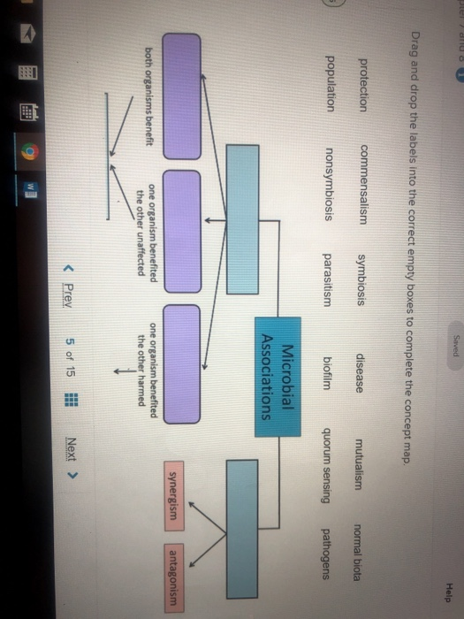 Solved drag and drop the labels into the correct empty boxes | Chegg.com