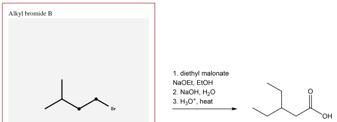 Solved The malonic ester synthesis is a method for preparing | Chegg.com