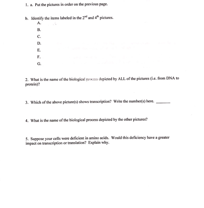 Solved Transcription & Translation "Comic Strip" Sequence: | Chegg.com