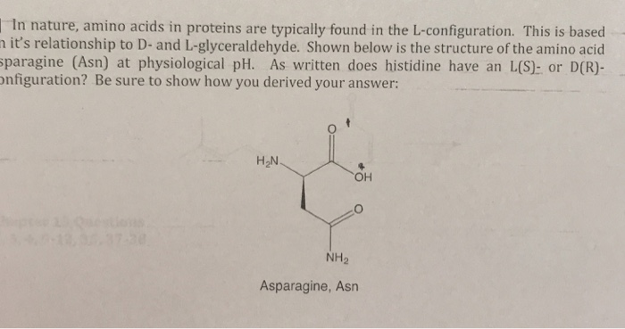 Solved In nature, amino acids in proteins are typically | Chegg.com