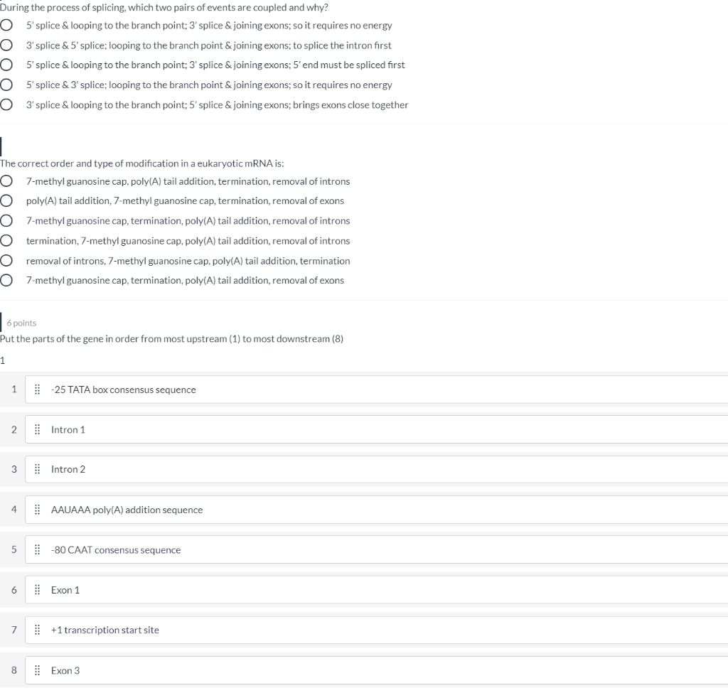 Solved During the process of splicing, which two pairs of | Chegg.com
