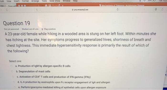 Solved Edit View Insert Format Arrange Tools Slide Show | Chegg.com
