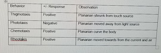 Solved Behavior Thigmotaxis Phototaxis Chemotaxis Rheotakis | Chegg.com