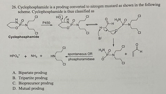 Solved 26. Cyclophosphamide is a prodrug converted to | Chegg.com