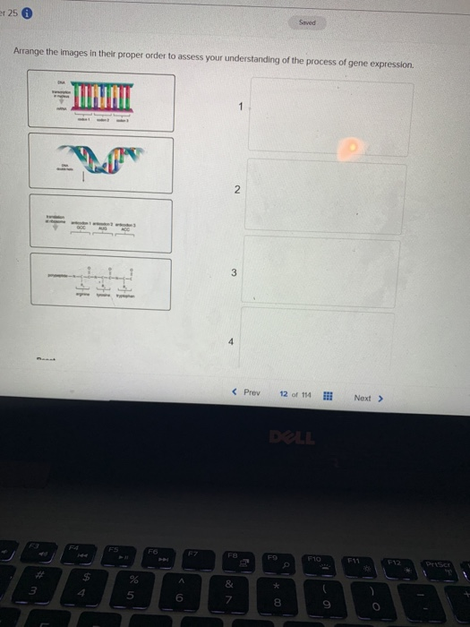 Solved r 25 Arrange the images in their proper order to | Chegg.com