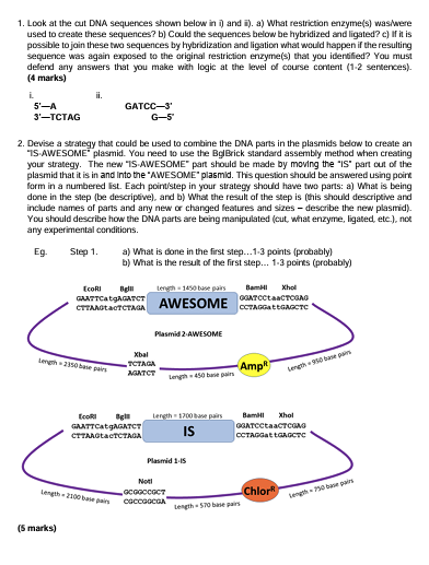 Solved Use answers from q 2 ﻿and 3 ﻿to answer 4: Look at the | Chegg.com