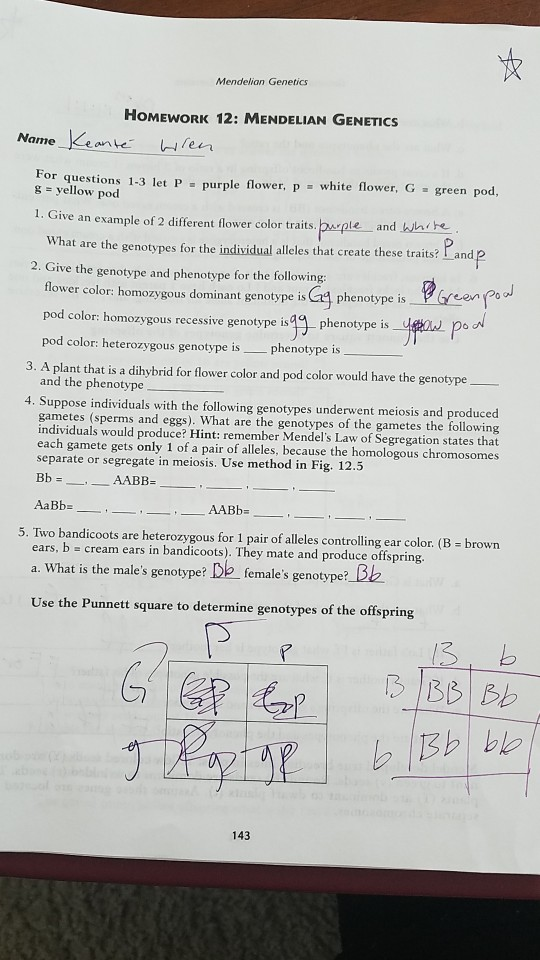 Solved Mendelian Genetics HOMEWORK 12: MENDELIAN GENETICS | Chegg.com