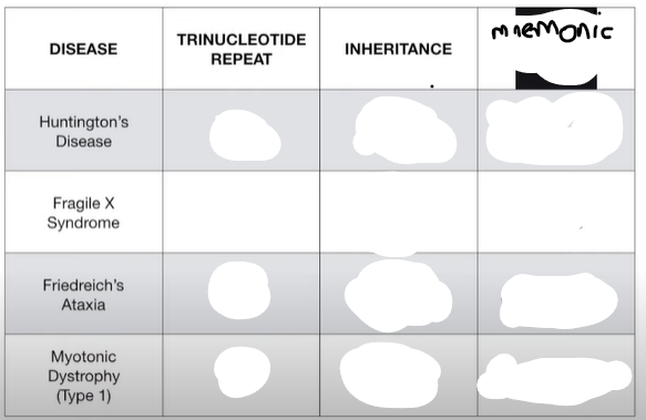 Friedreich Ataxia Mnemonic