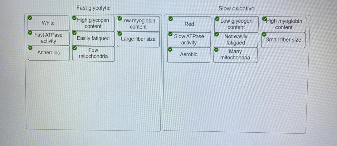Assign Each Example to the Universal Muscle Characteristic Being Described Assign Each Example to the Universal Muscle Characteristic Being Described