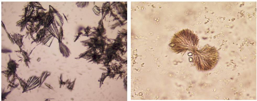 Sulfonamide Crystals