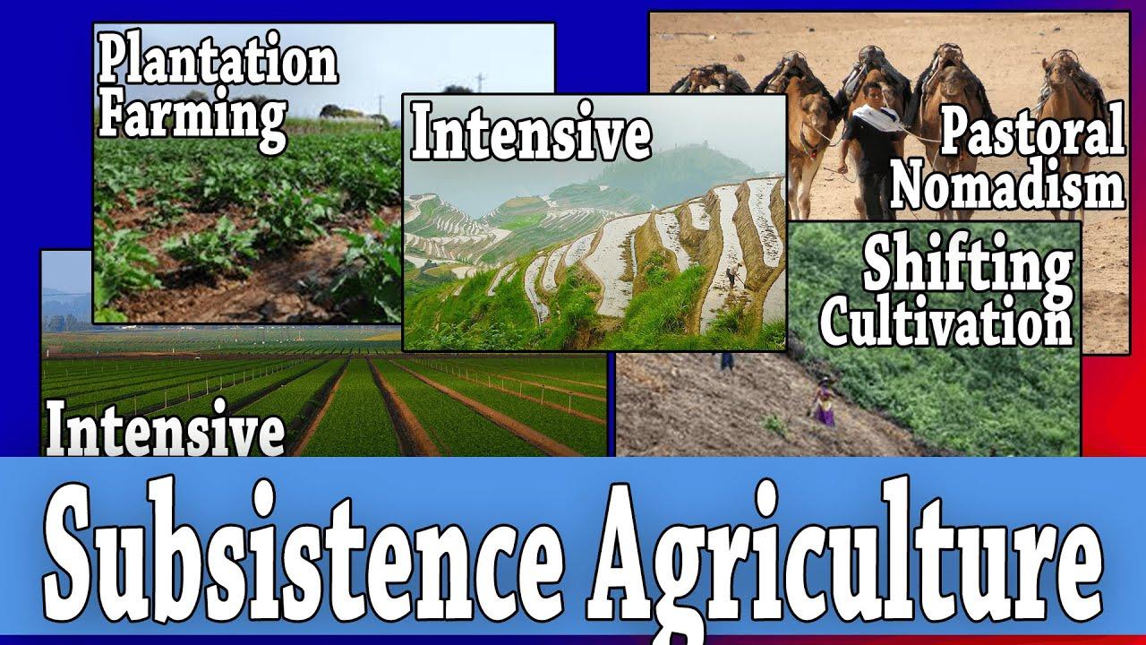 Extensive Subsistence Farming