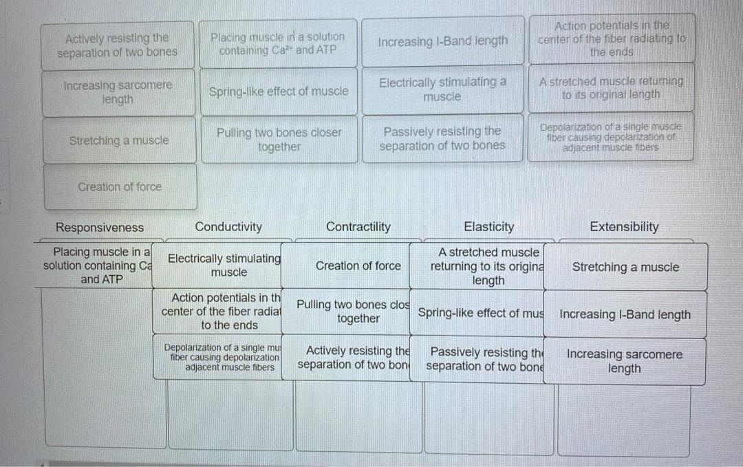 Assign Each Example to the Universal Muscle Characteristic Being Described Assign Each Example to the Universal Muscle Characteristic Being Described