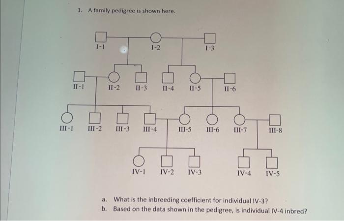 Solved 1. A family pedigree is shown here. a. What is the | Chegg.com