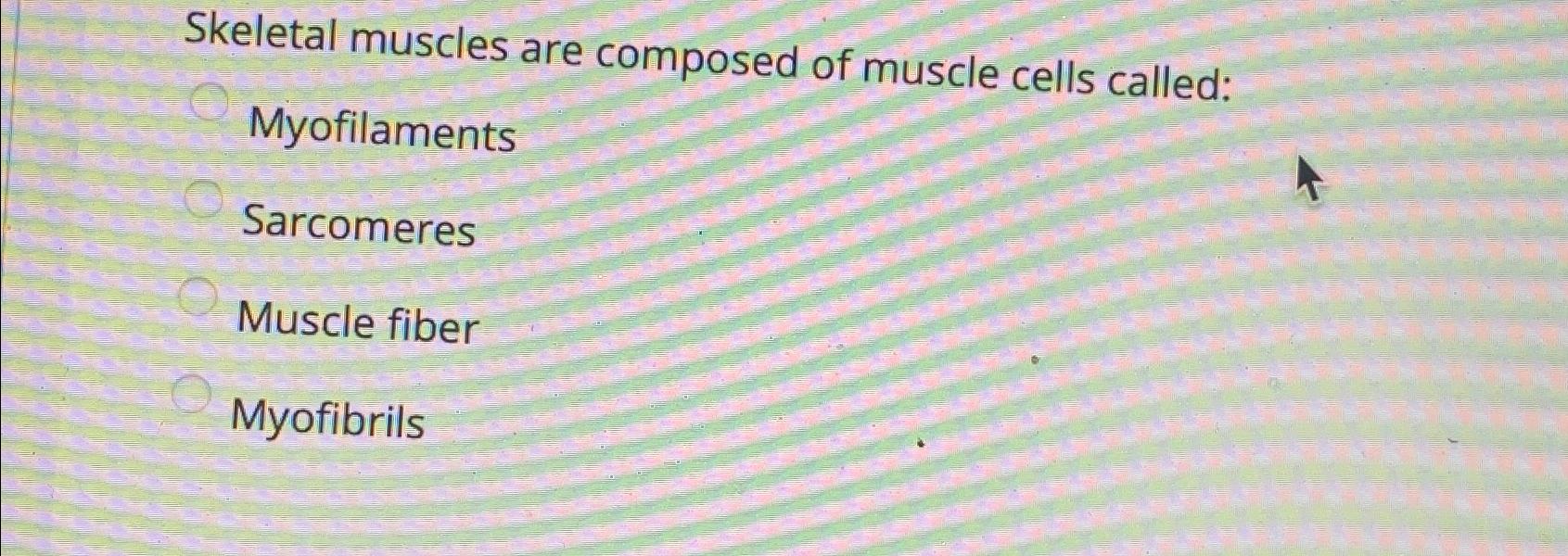 Solved Skeletal muscles are composed of muscle cells | Chegg.com